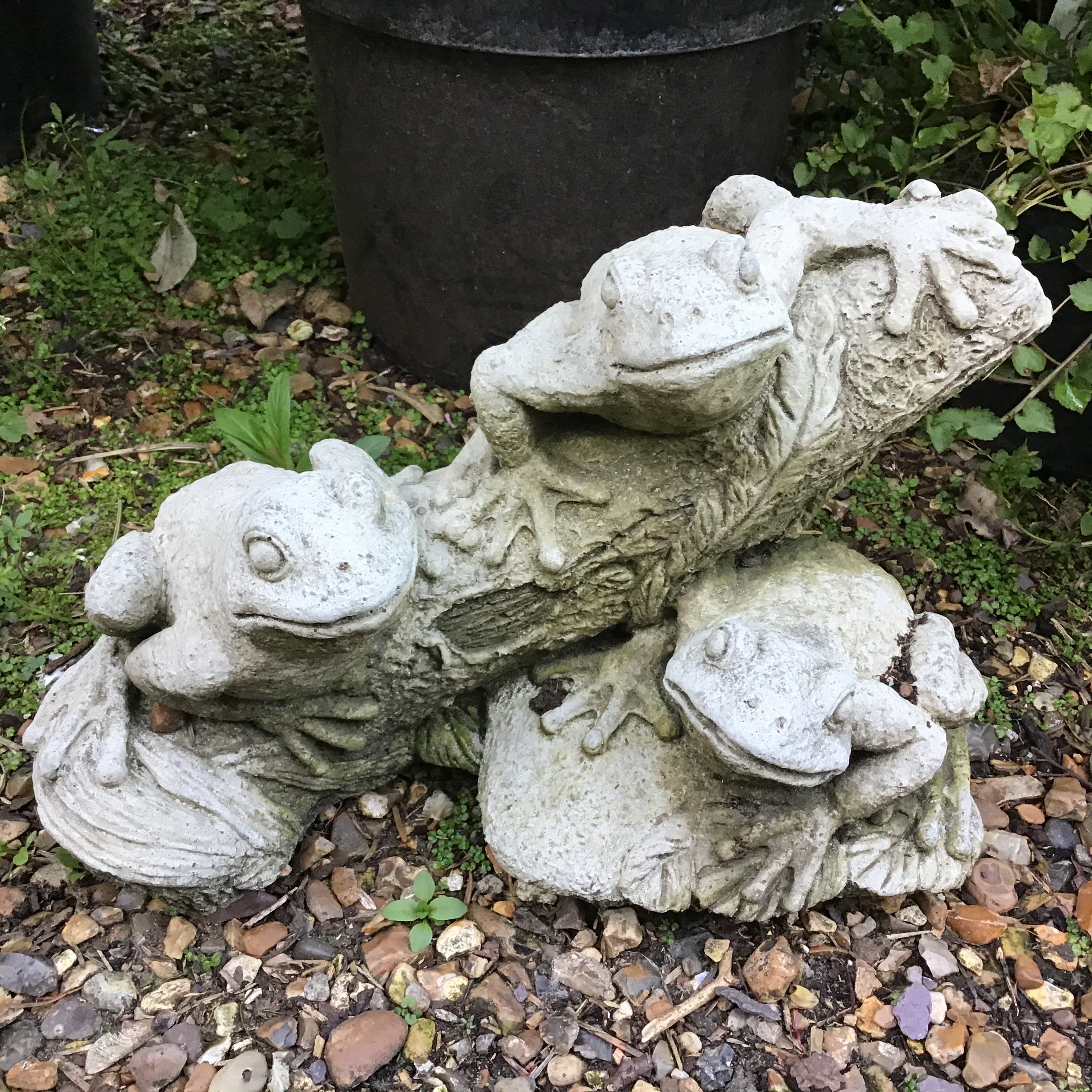 Frogs on a log – Kew Gardener