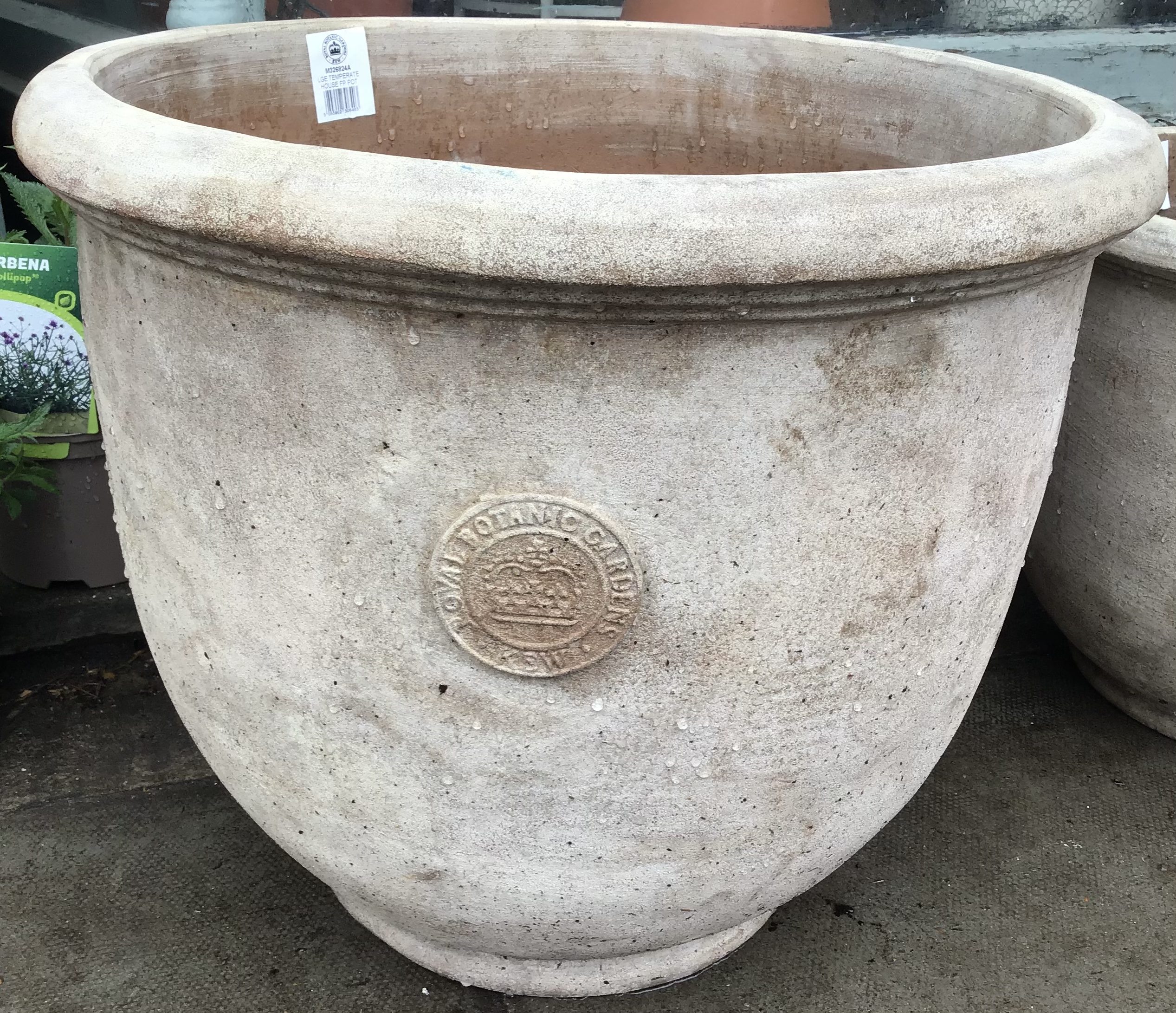 Kew Collection – Temperate House Pot Large 54cm across. Frost proof ...