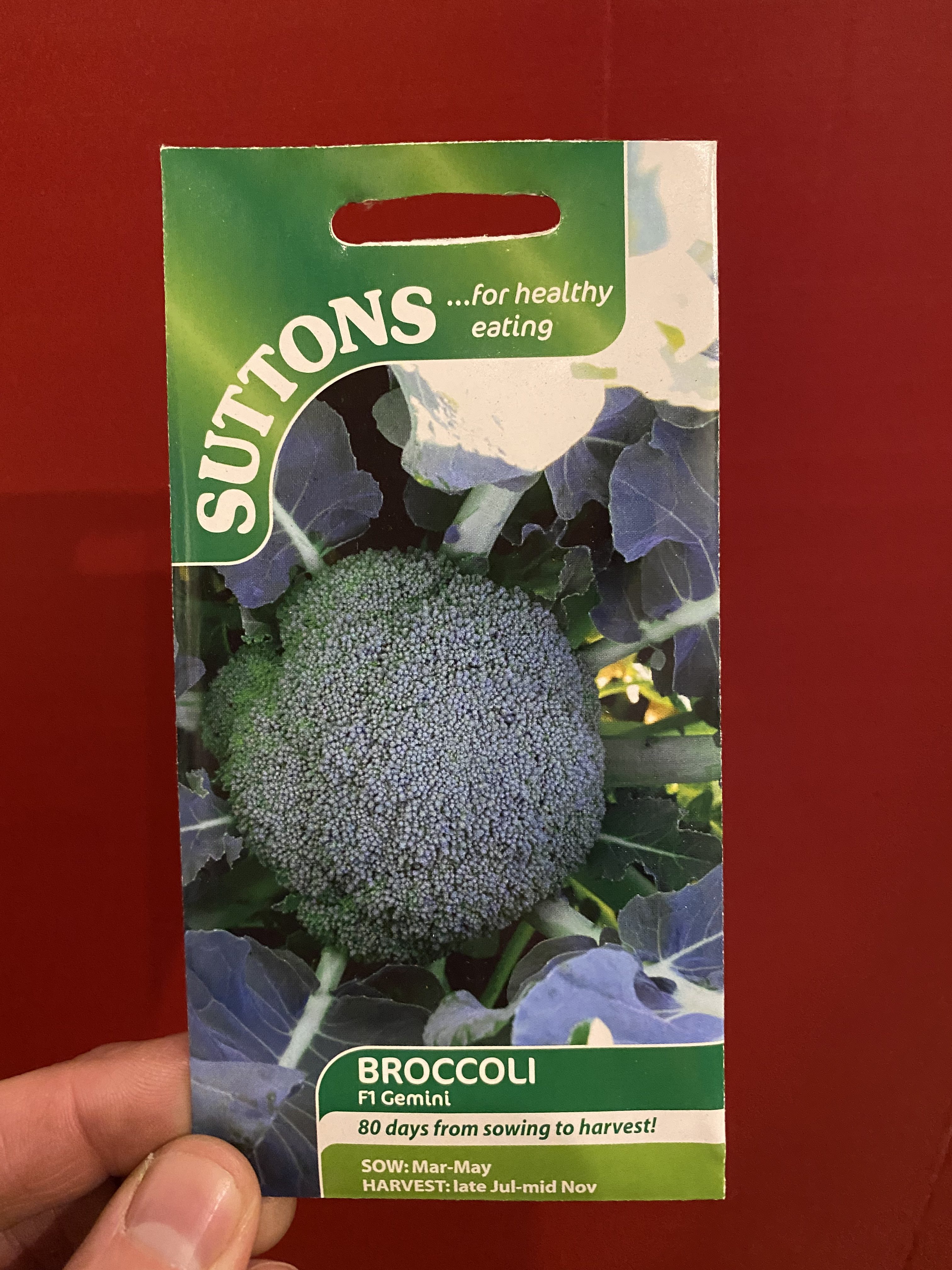 Broccoli F1 ‘Gemini’ (20 seeds) – Kew Gardener