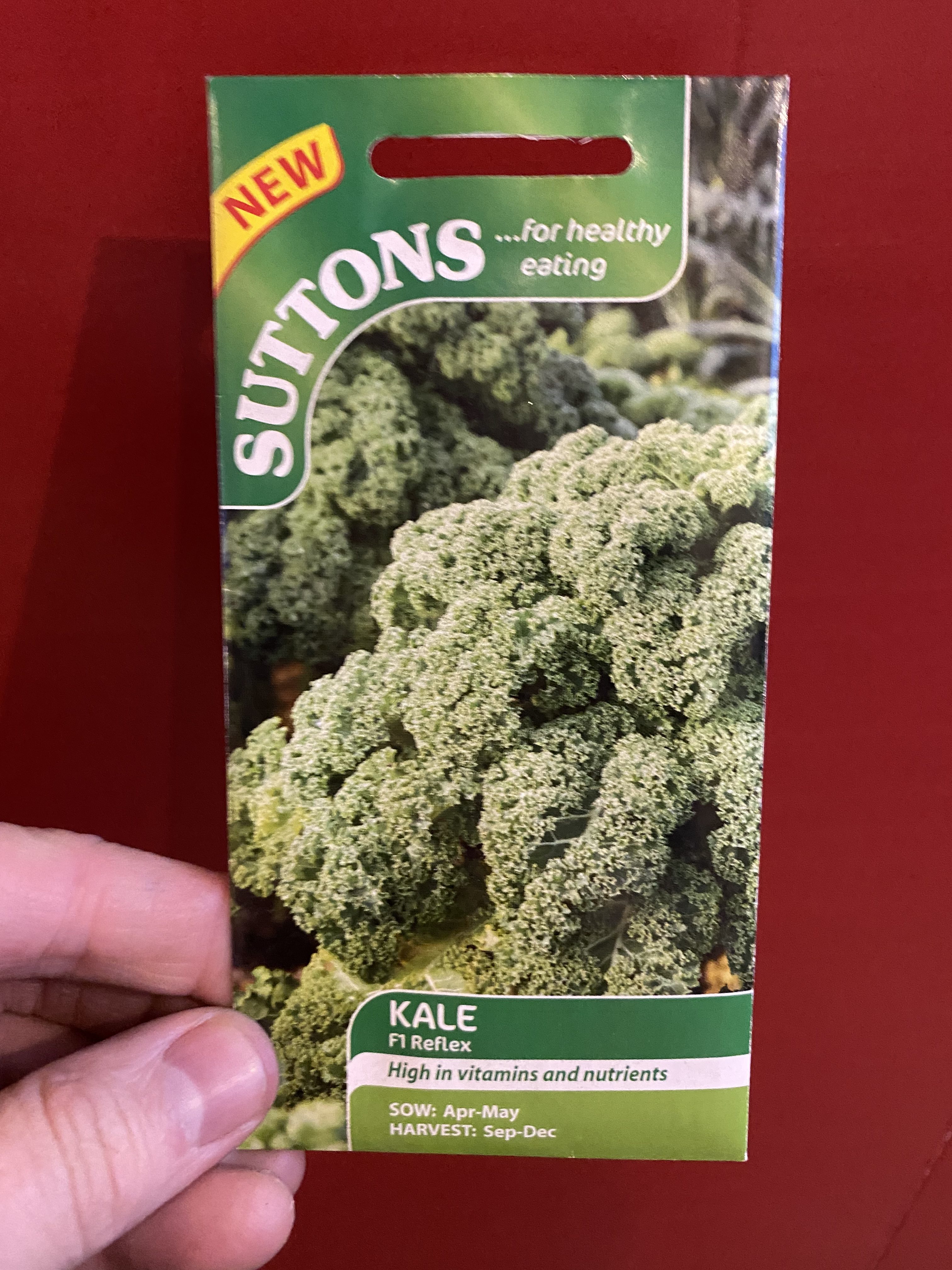 Kale F1 ‘Reflex’ (30 seeds) – Kew Gardener