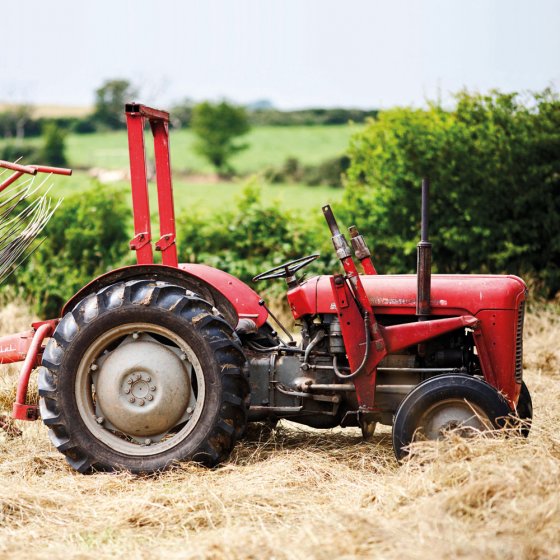 Vintage Massey Ferguson Tractor – Kew Gardener